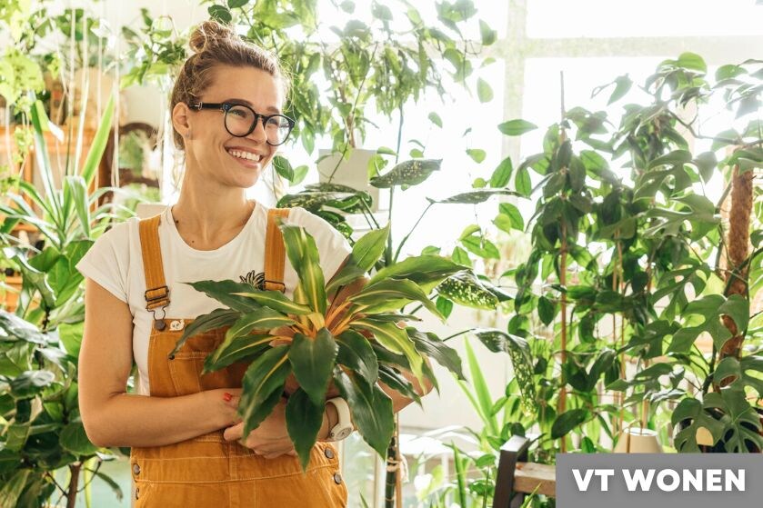 Planten in balans laten groeien doe je zo | Flair