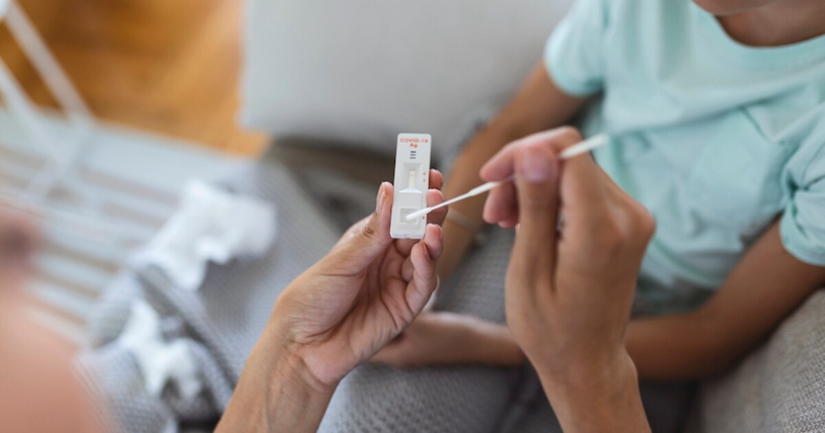 Vanaf maandag krijgen basisscholen gratis zelftesten toegestuurd voor ...