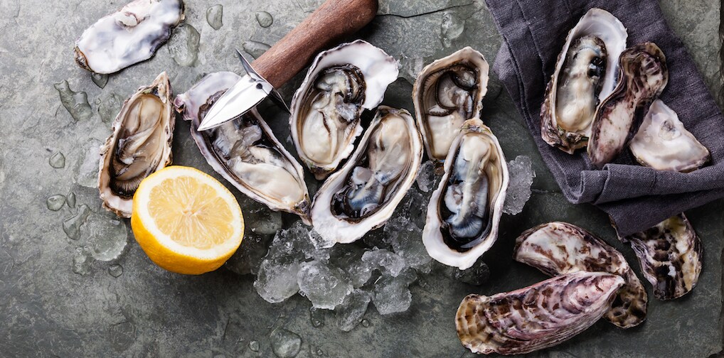 Lessen tussen de lakens: diepgang met de Weense oester - Flair - Voor ...