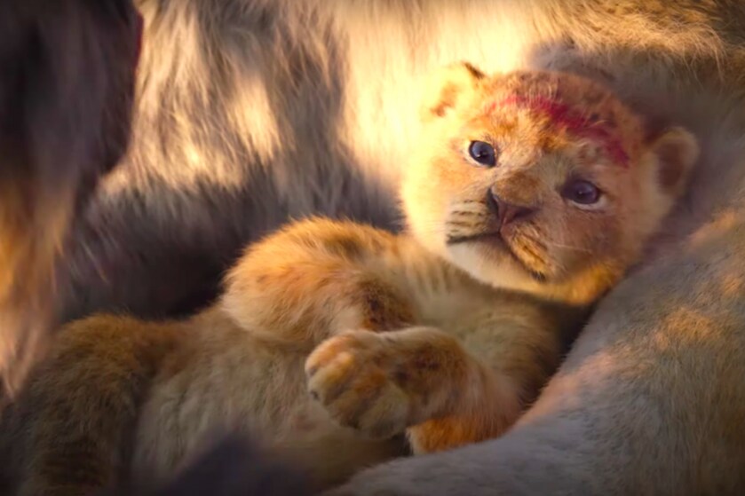 Disney onthult nieuwe trailer van live action-remake 'The Lion King ...