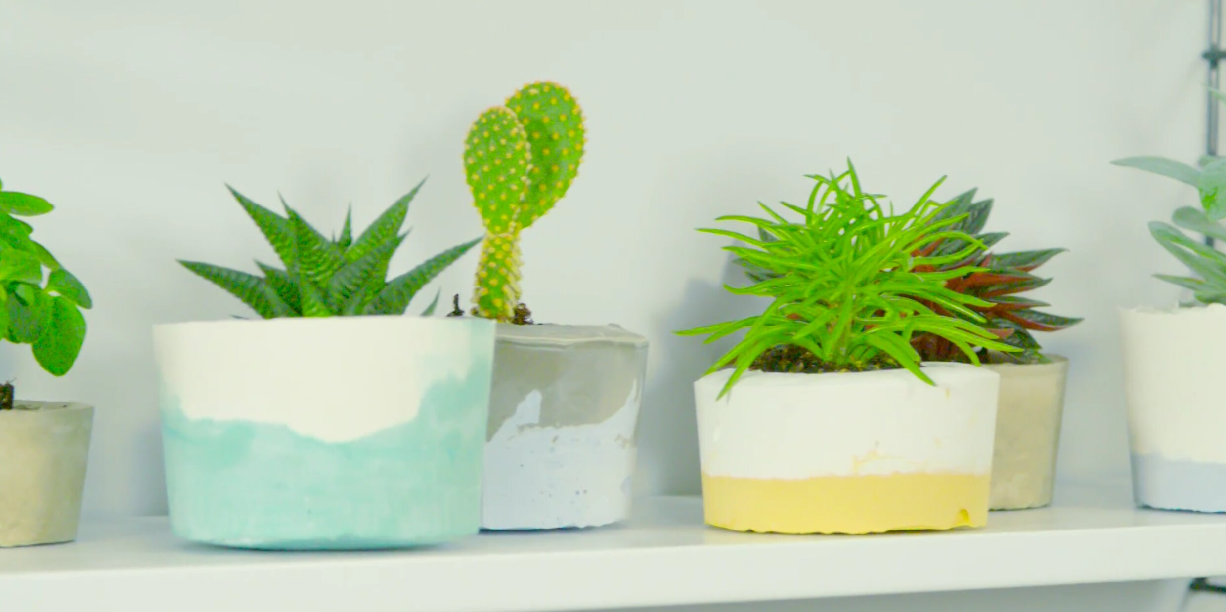 Zó maak je zelf gekleurde bloempotjes van gips - Flair - Voor jou, over ...