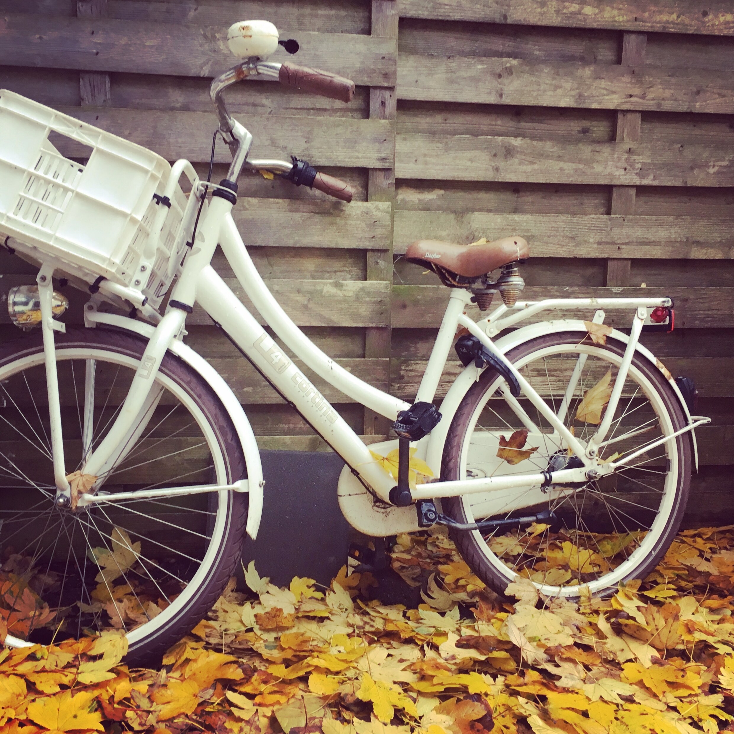 Blog Denise: Je weet dat het bijna december is als… - Flair - Voor jou ...