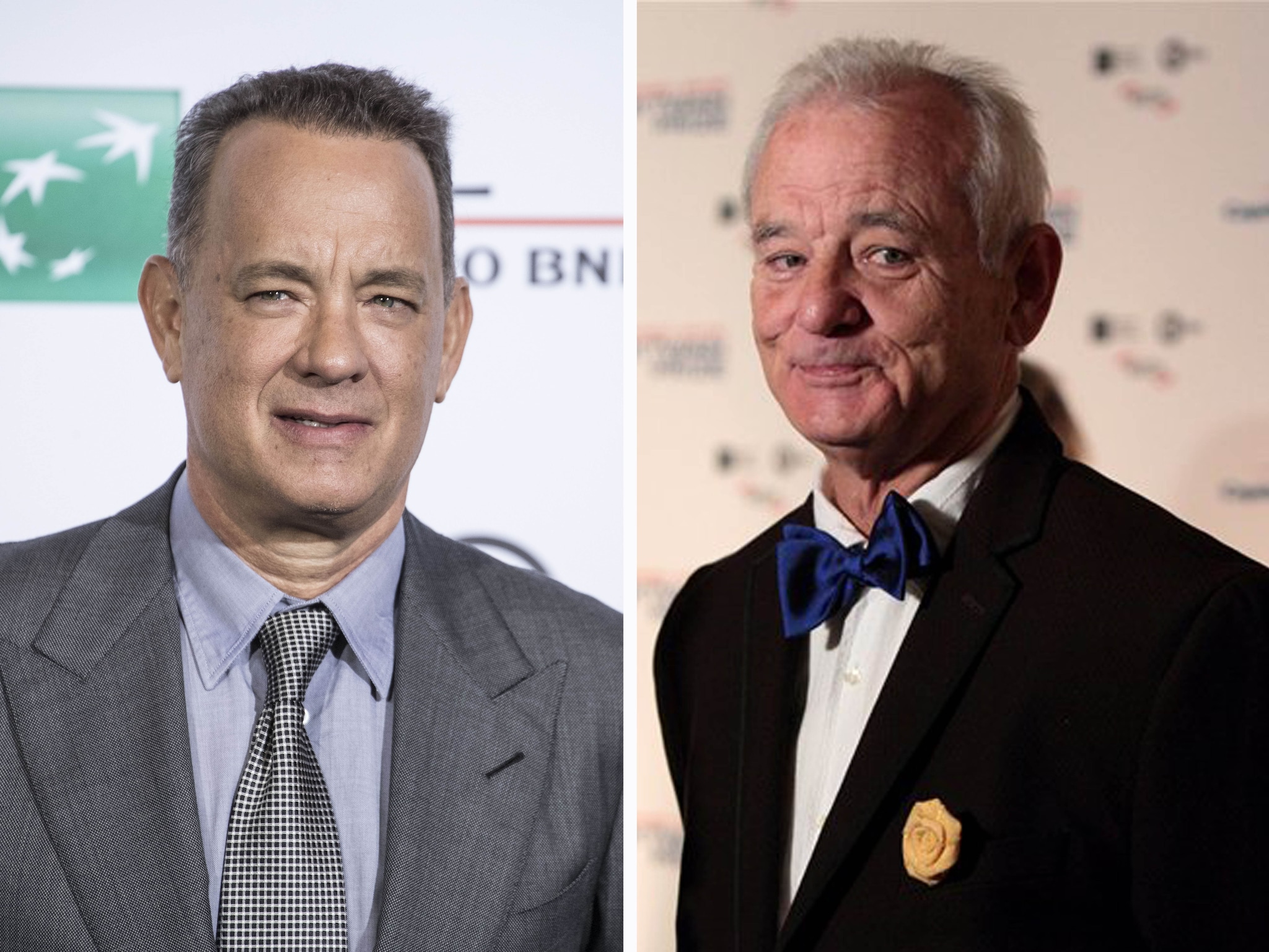 Verwarring alom: Is het Bill Murray of toch Tom Hanks? - Flair - Voor ...