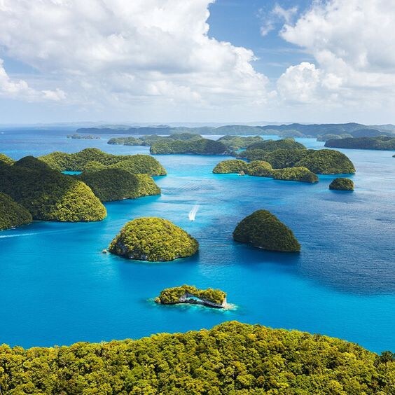 ZIEN: Er doet opnieuw een rapper mee aan Expeditie Robinson - Flair ...