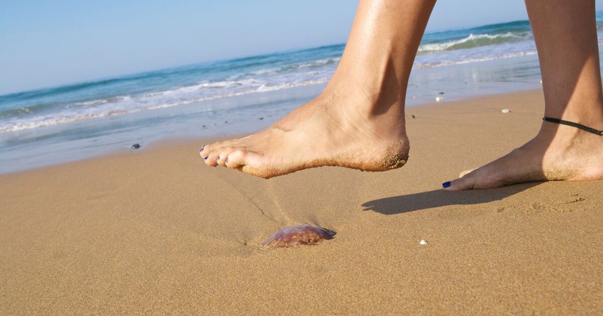 Eerste hulp bij een kwallenbeet - Flair - Voor jou, over jou | Flair