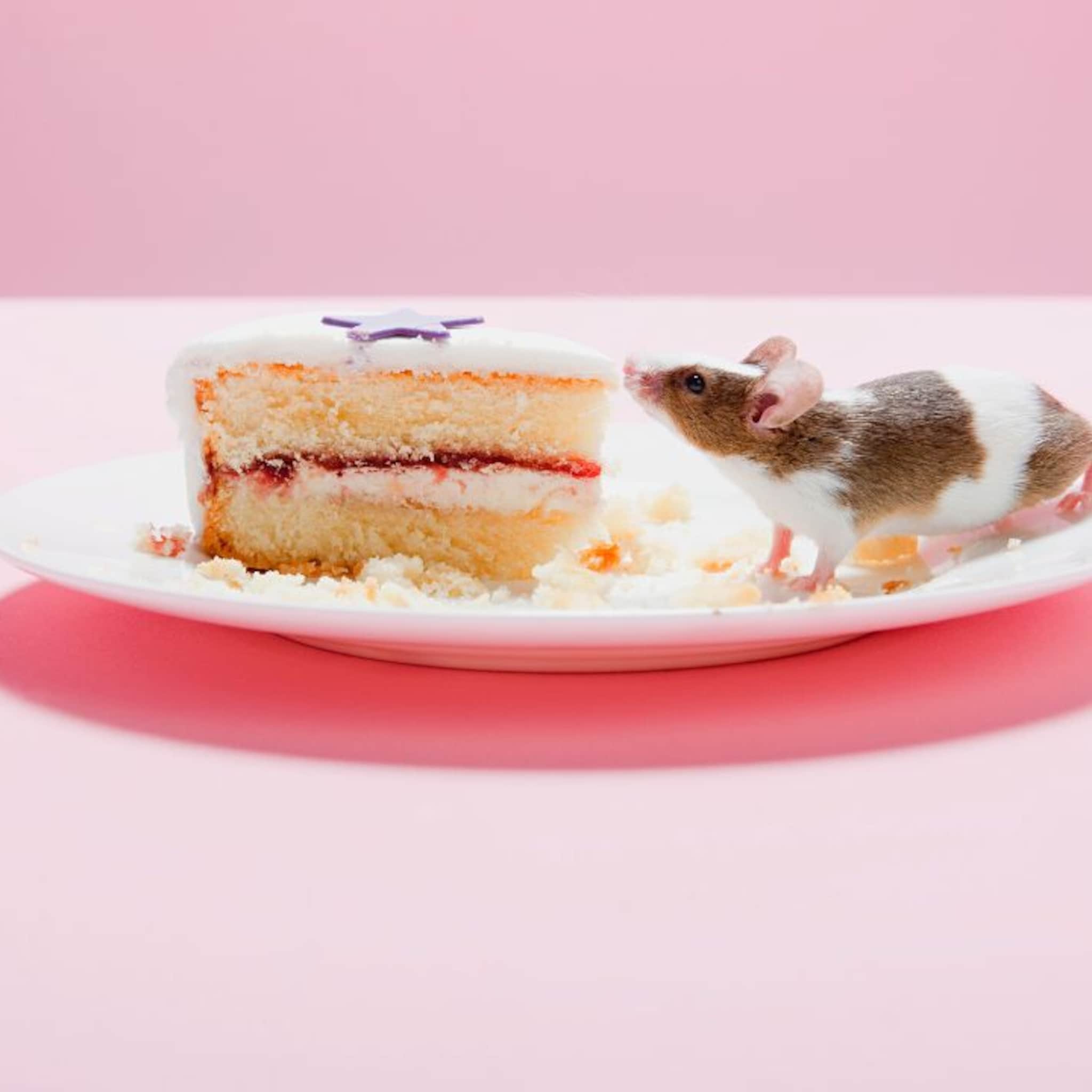 Dit zijn de 25 beste Nederlandse romcoms aller tijden