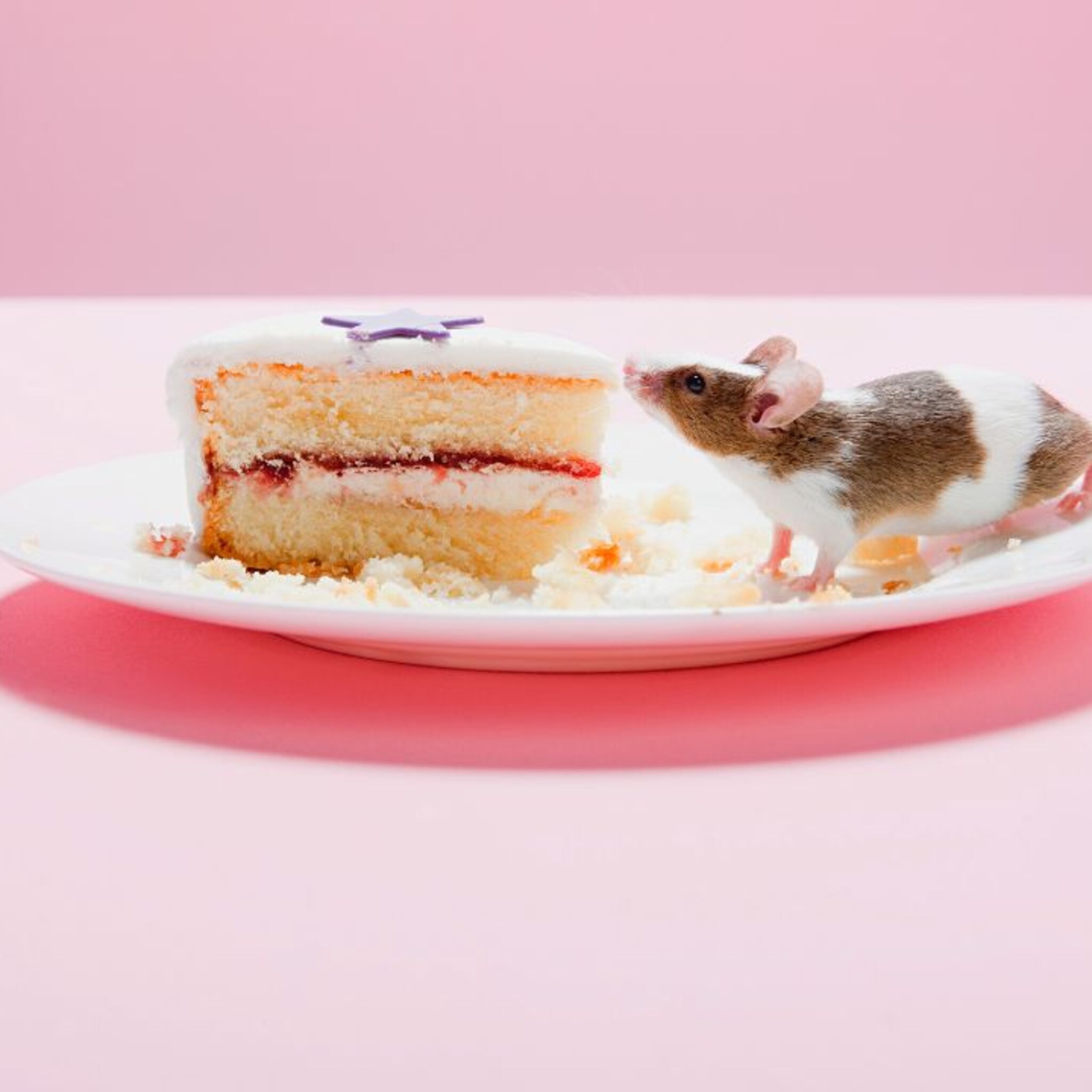 Dit zijn de 25 beste Nederlandse romcoms aller tijden