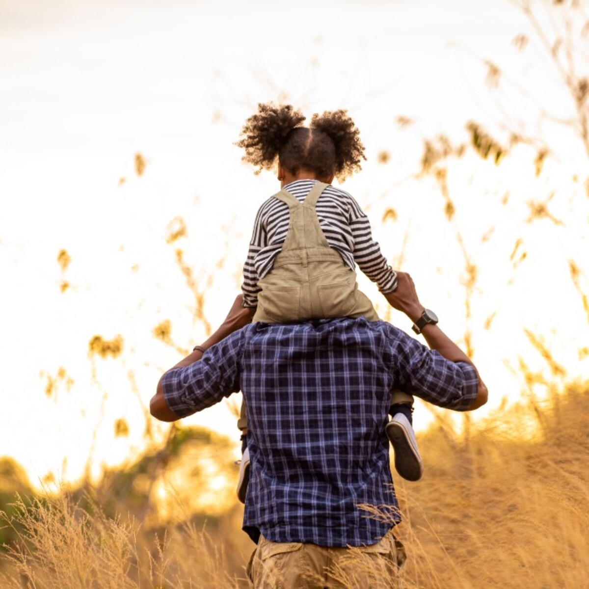 Ouderlijk Gezag Online Gezamenlijk Ouderlijk Gezag Aanvragen Moene