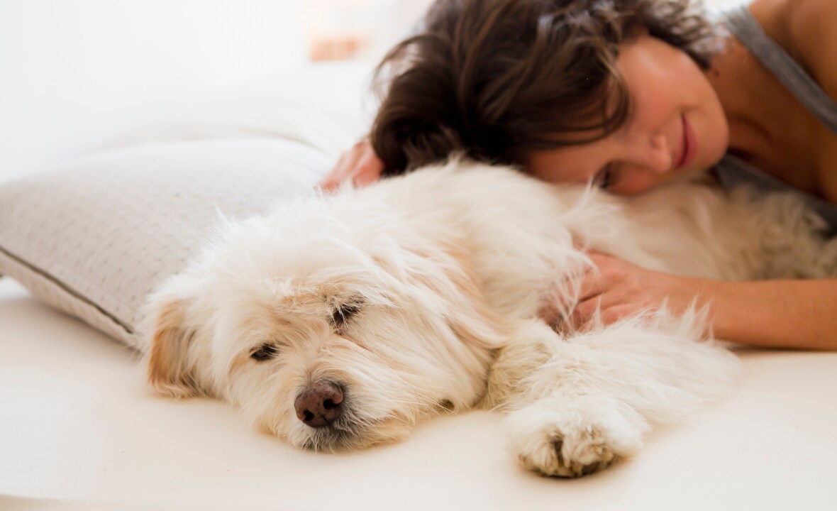 Dít is waarom je beter met je hond kan slapen dan je partner | Flair