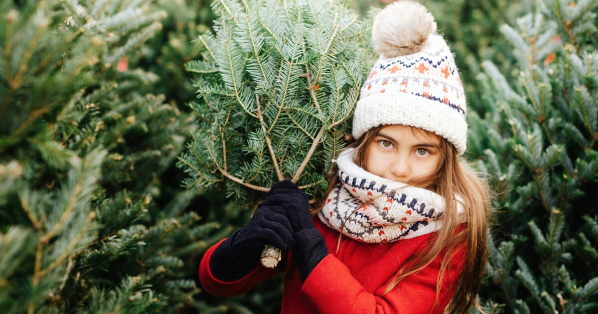 Dure decembermaand: deze uitjes kosten (bijna) niks | Flair
