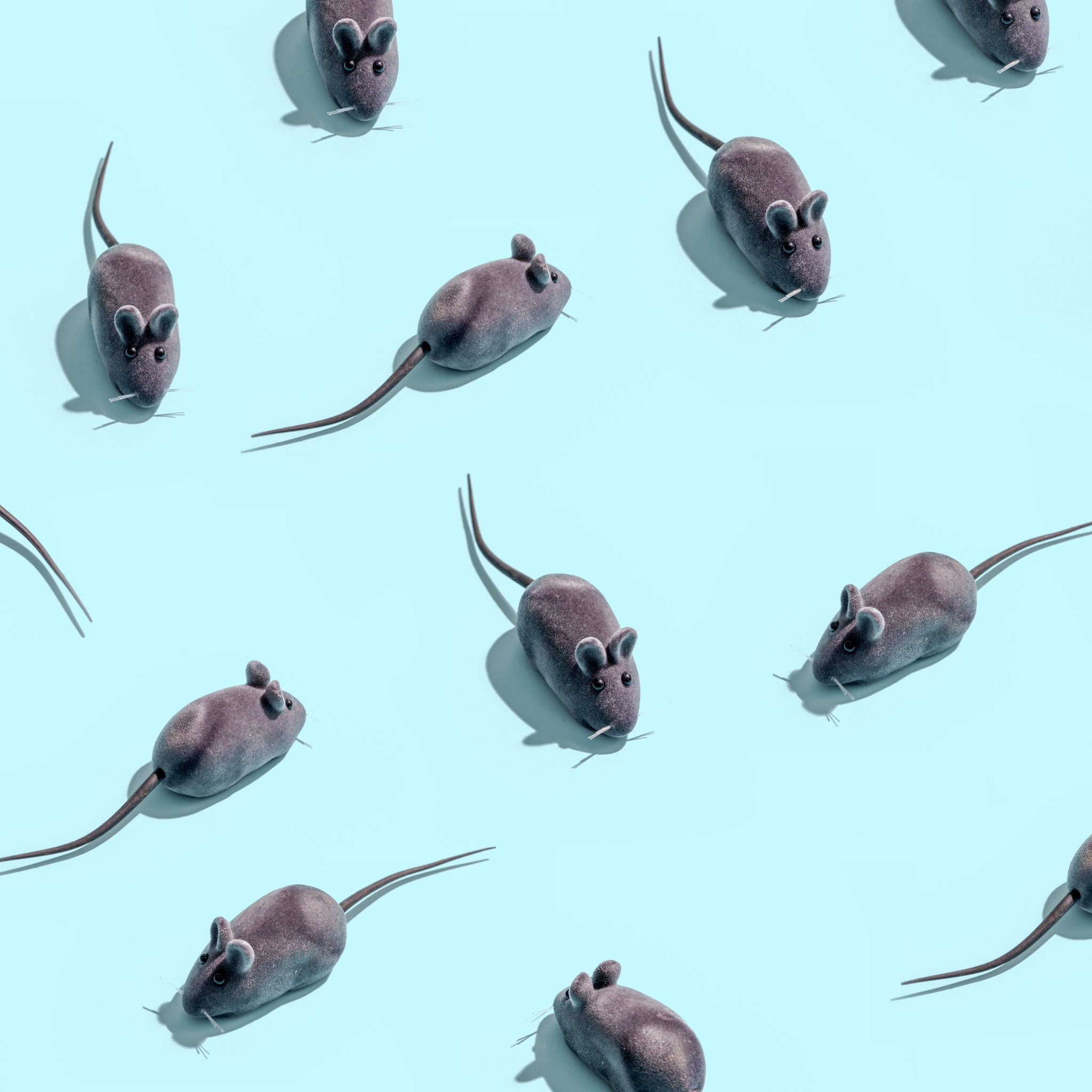 News - Flair.nl - blijf up to date - Flair - Jouw leven, jouw keuze