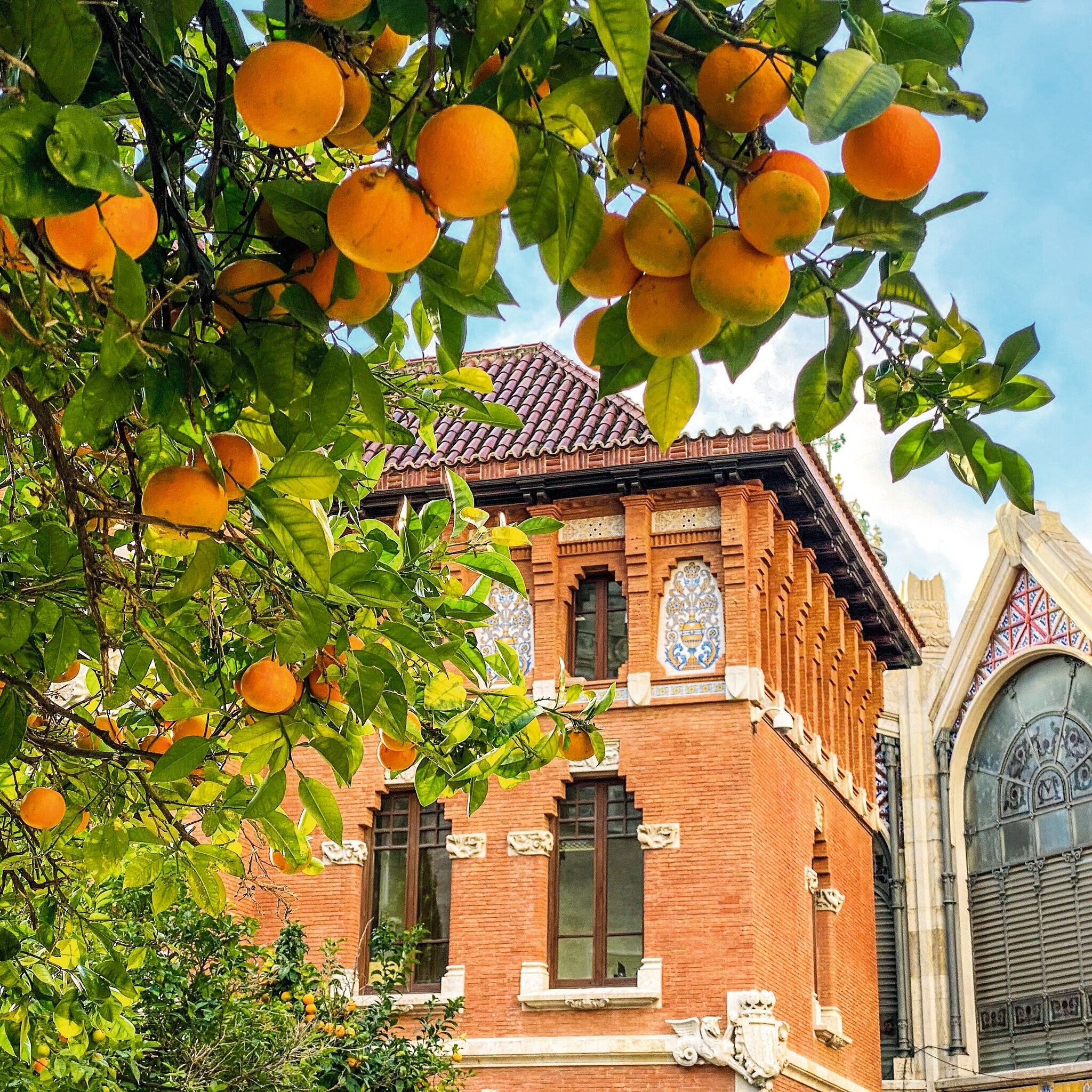 In ‘Wie is de Mol?’ verschijnen straks 10 oude bekenden