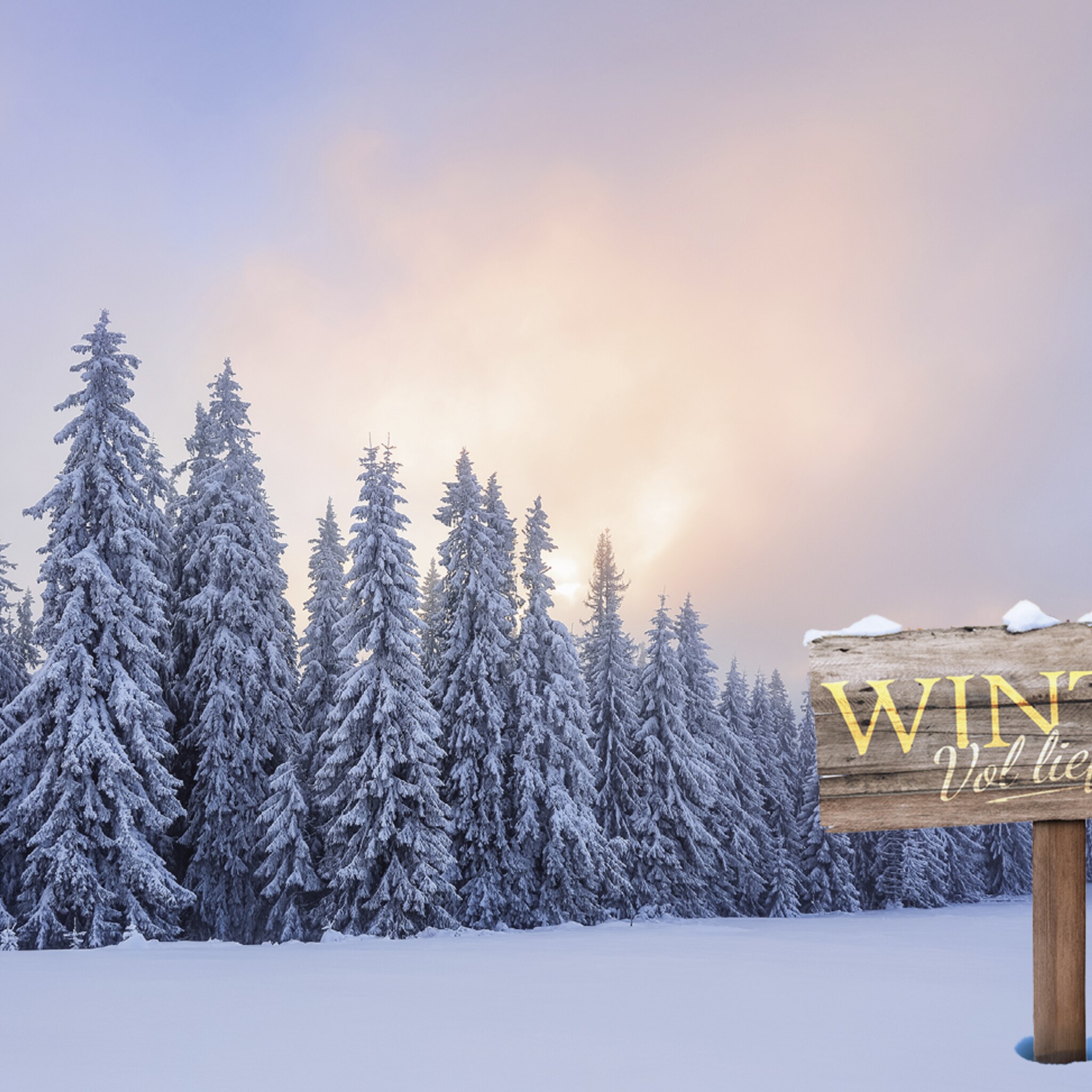 Ongemakkelijk: de eerste beelden van ‘Winter Vol Liefde’ 2026