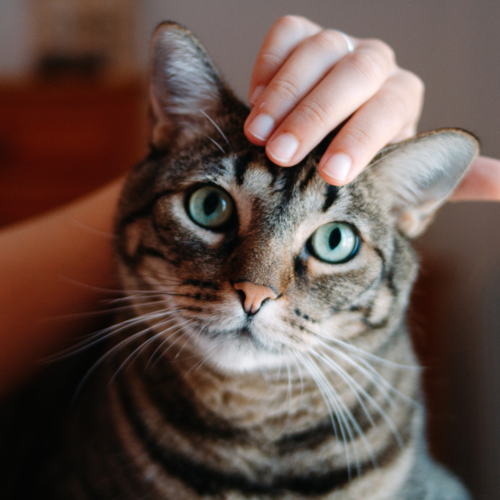 Monica Geuze: ‘Ik ben nu niet de moeder die ik wil zijn’