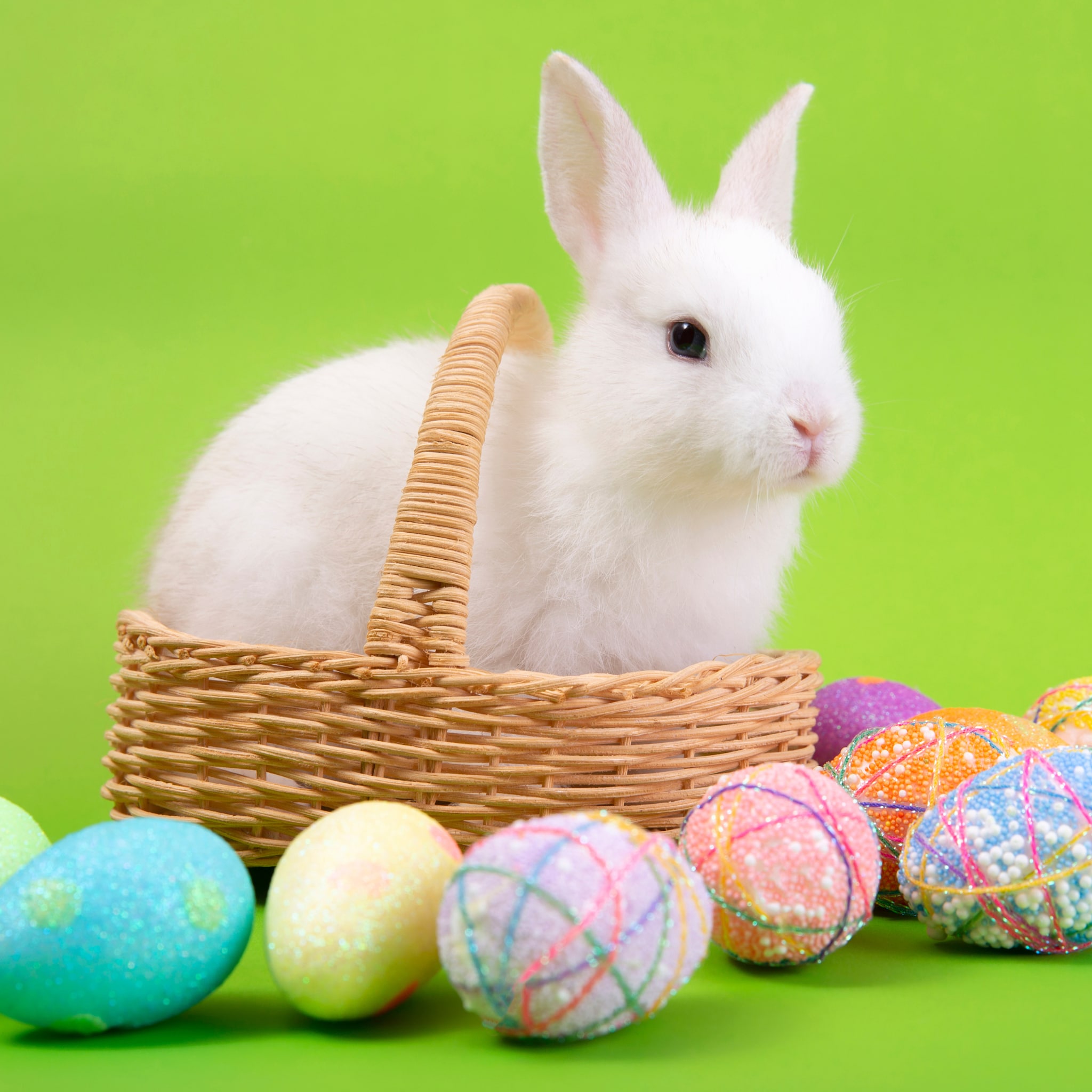 Zo veel calorieën zitten er in je favo chocoladepaaseitjes